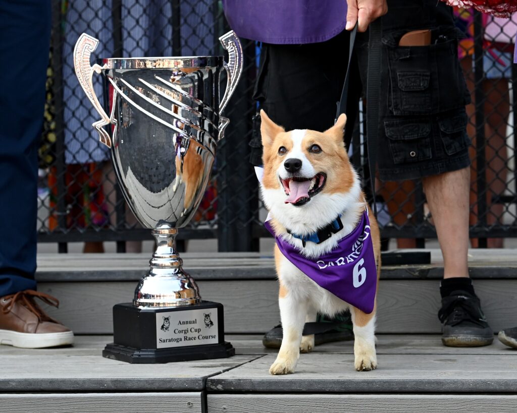 2025 Corgi Cup Champion - Ed Lewi and Associates